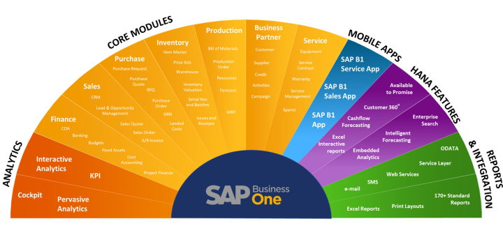 SAP BUSINESS ONE – Altrocks
